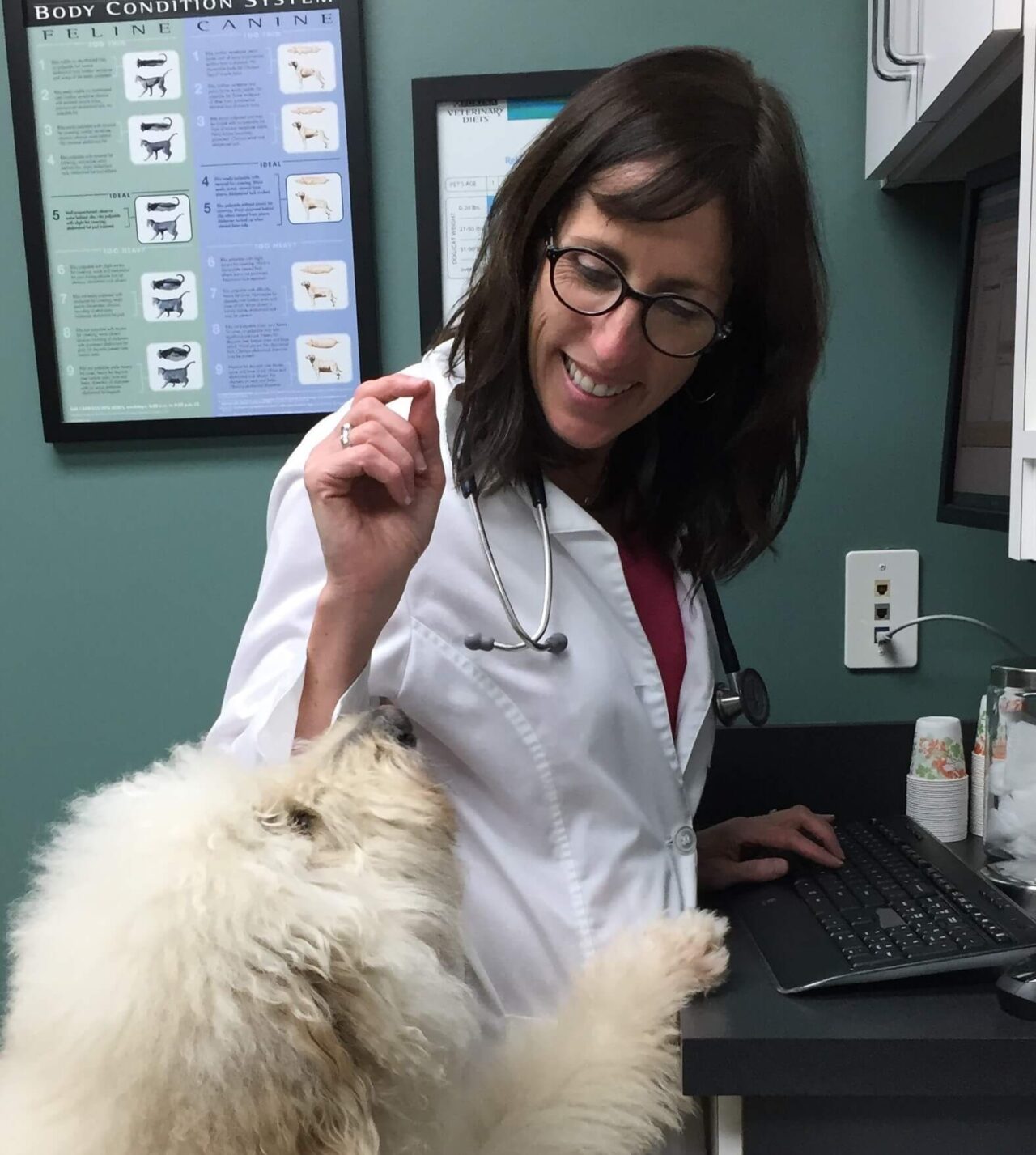 Pet Behavior Counseling In Greensboro, NC 27455 | North Elm Animal Hospital